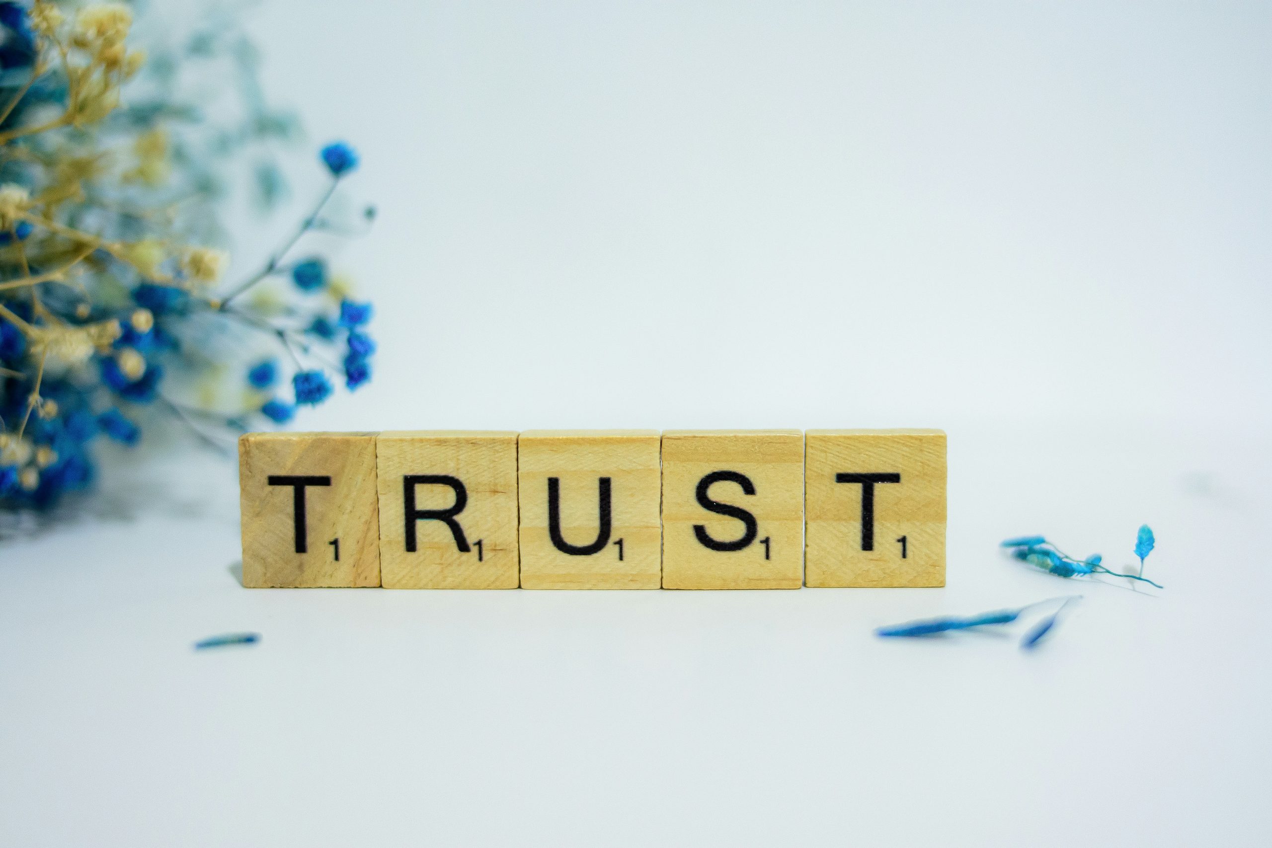 Building Trust Builds Bridges: The Gateway to Mental Well-Being - CNR ...